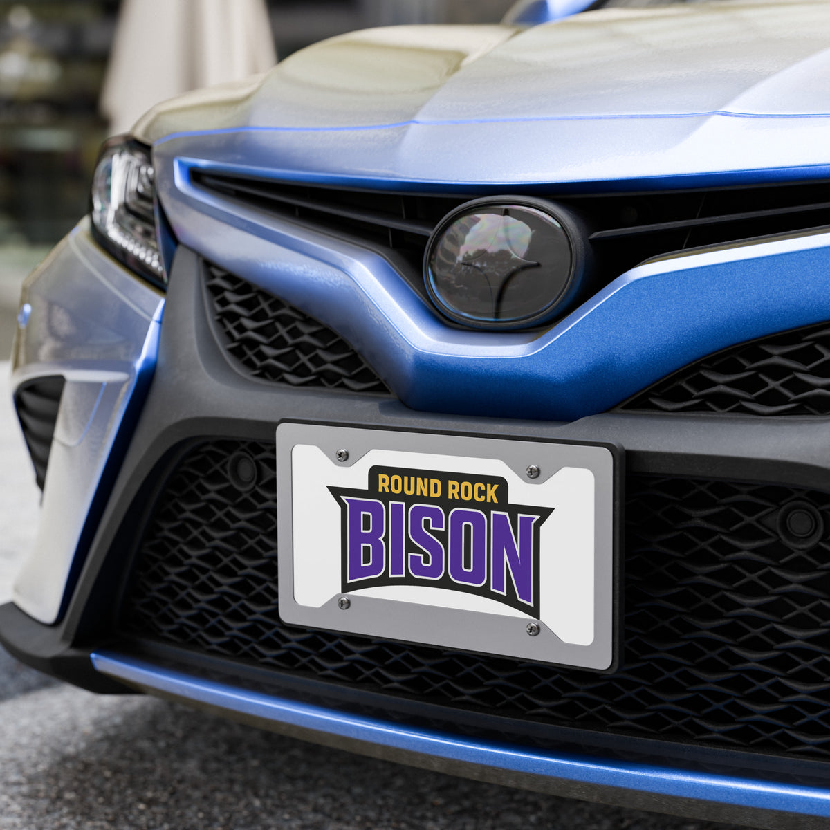 Bison Vanity license plate – Vikn Sports